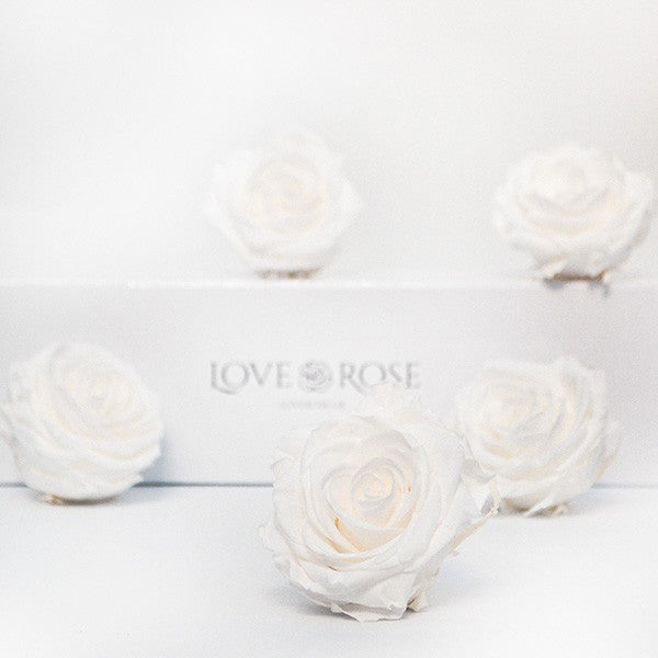 5 Infinity White Roses in a White Box – Flower Station
